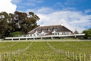 Best of Cape Town and the Bush | Lion World Travel